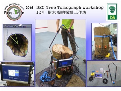 PICUS 3 TOMOGRAPH – 樹木拓展學會